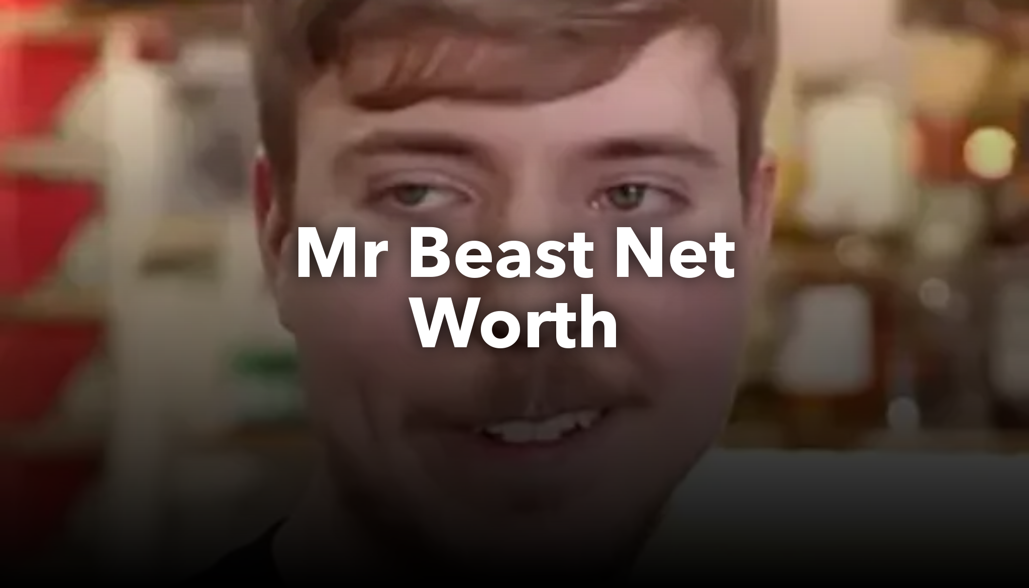 Mr Beast Net Worth | nichesss